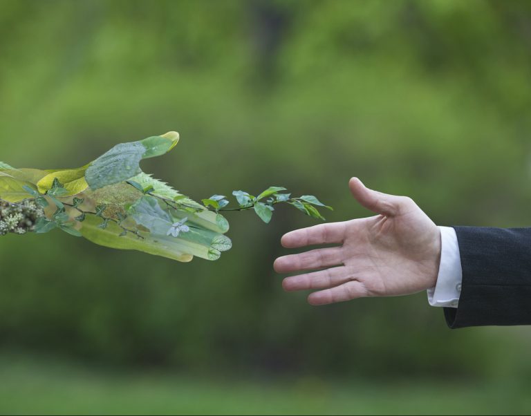 THE LIBRARY - IE UNIVERSITY LIBRARY