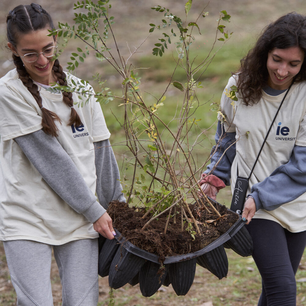SUSTAINABLE DEVELOPMENT GOALS (SDGs) - IE UNIVERSITY LIBRARY